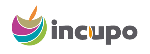 INCUPO PRESENTA SUS CURSOS 2025 EN UN ENCUENTRO VIRTUAL | INCUPO